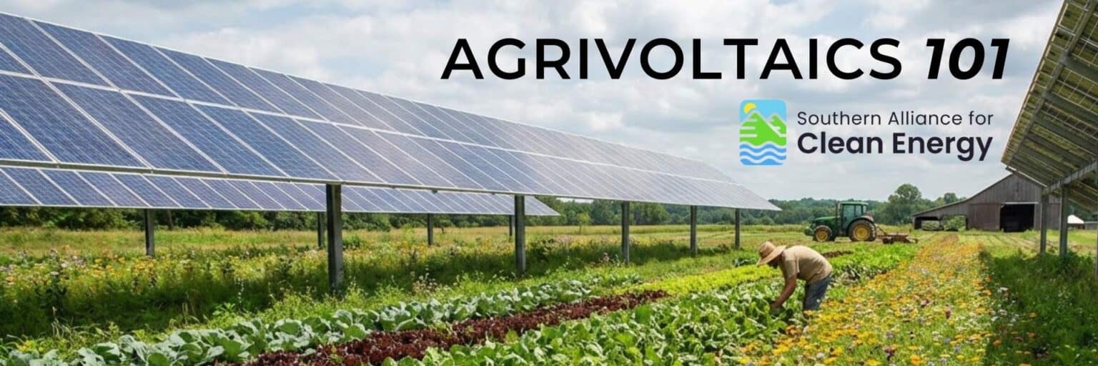 Agrivoltaics: Rethinking Resilience From the Ground Up - Southern ...